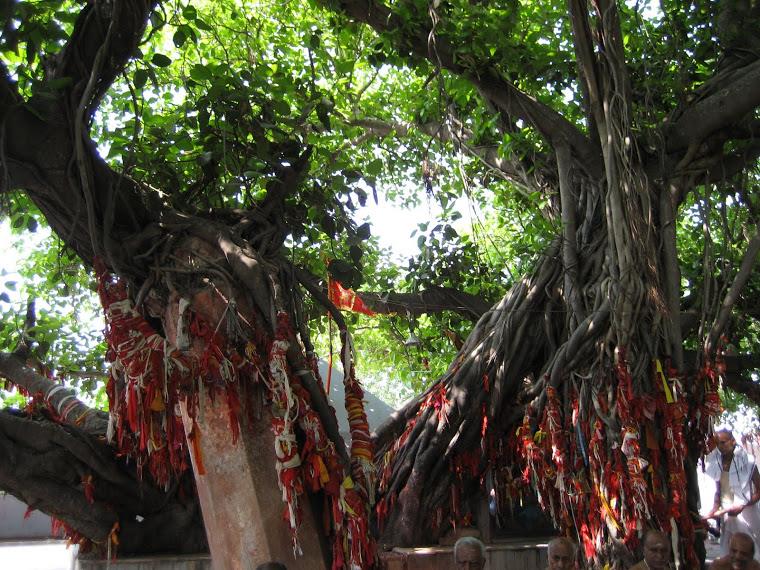 Types of meditation and their observance. – Spirituality In Practice